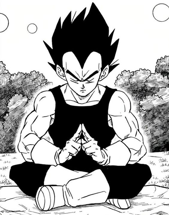 Prince Vegeta | Layers